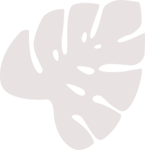 Jardinerie Jaïa : Jardin, animalerie, décoration et ambiance